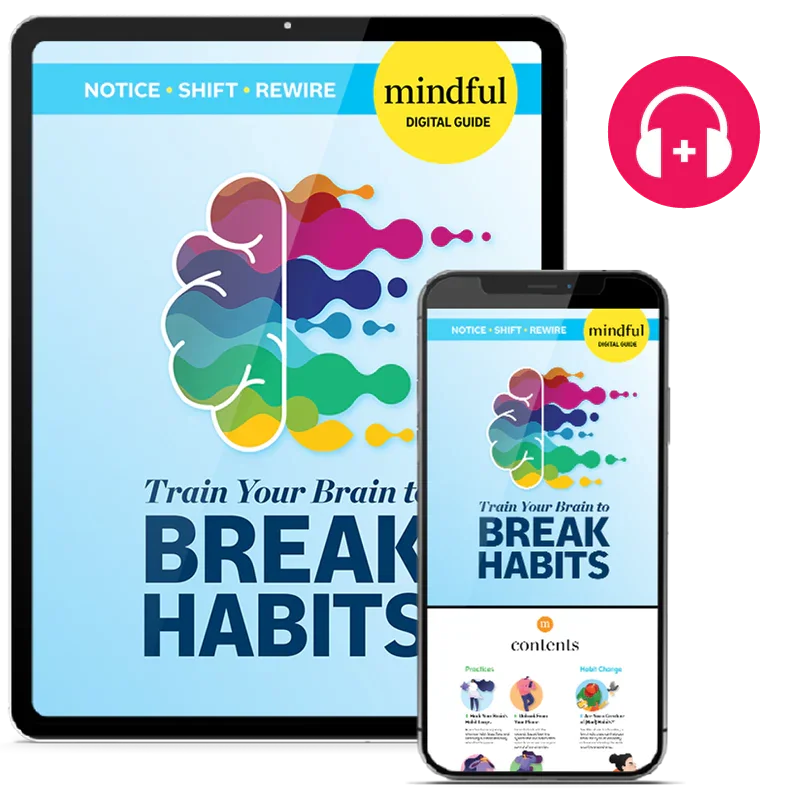 Breaking Habits: Digital Guide + Audio Meditations – Mindful Store