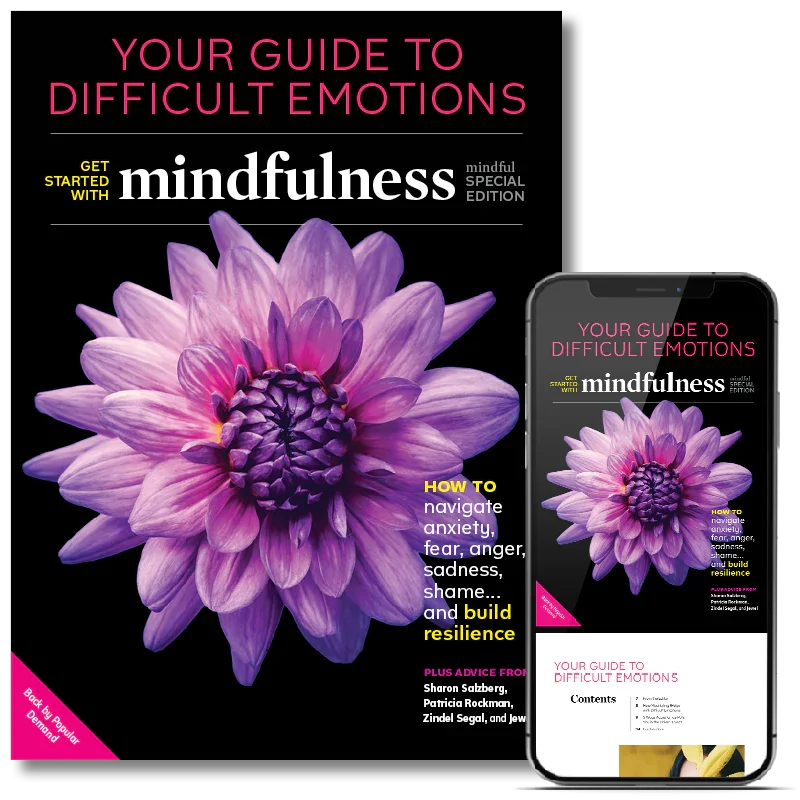 Your Guide to Difficult Emotions (special edition, print + digital) – Mindful Store