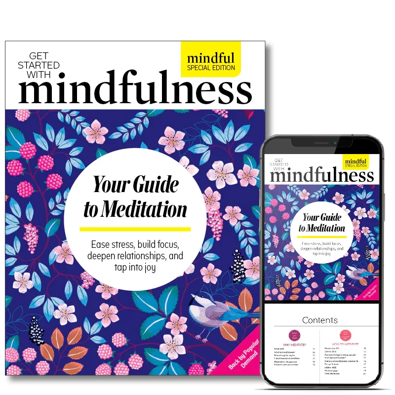 Your Guide to Meditation (special edition, print + digital) – Mindful Store